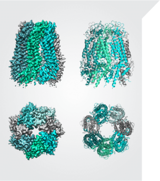 Pannex Therapeutics - Developing life transforming therapies based on ...