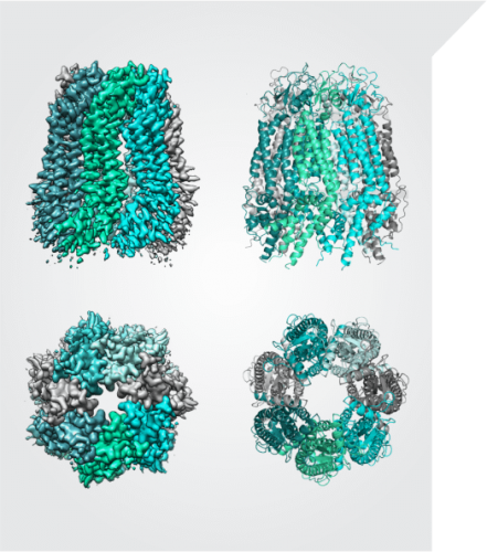 Pannex Therapeutics - Developing life transforming therapies based on ...