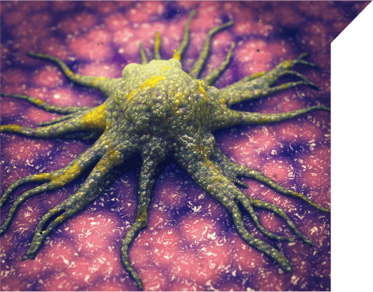 Pannex Therapeutics - About us