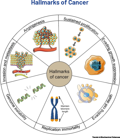 Pannex Therapeutics - Science