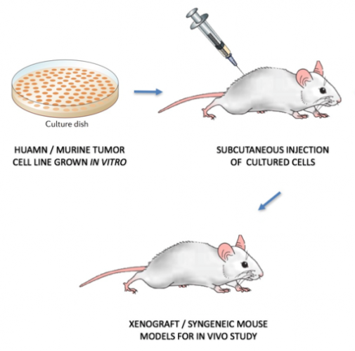 Pannex Therapeutics - Science