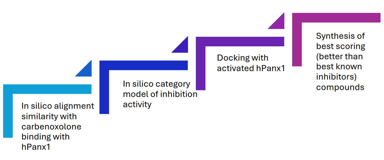 Pannex Therapeutics - Development